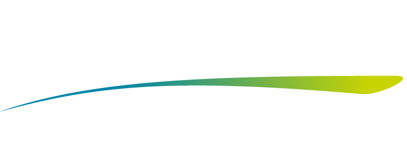 Our Services & Capabilities | InterVISTAS Consulting